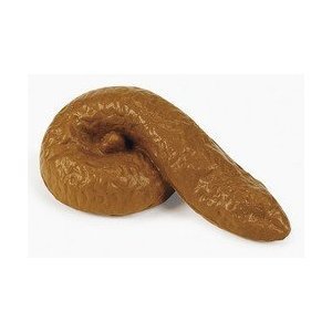 Top 10 Gifts for People Who Think Poop is Highly Amusing